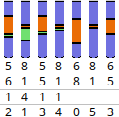 Master Keying Software, Locksmith Software | MKExpress